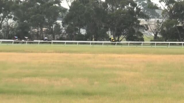 Hamilton Jump Out 2 13122023 | RACING.COM