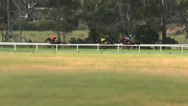 Hamilton Jump Out 5 13122023 | RACING.COM