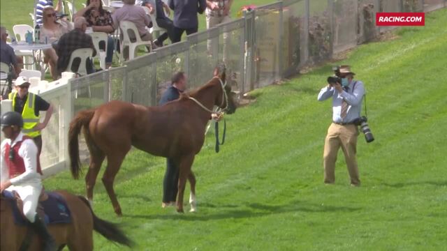 Strathalbyn Race 3 R C Jolly 131223 | RACING.COM