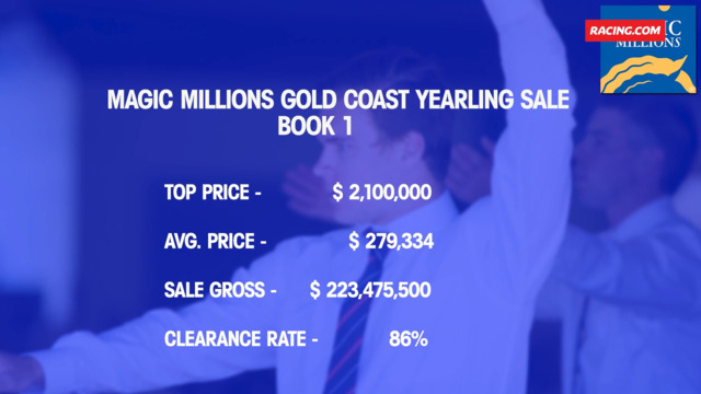 Magic Millions Book 1 wrap | RACING.COM