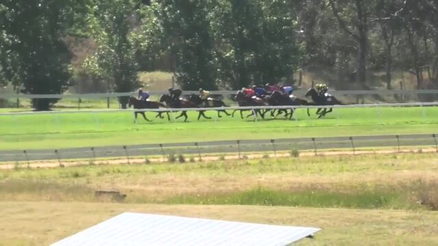 Hamilton Jump Out 12 15012024 | RACING.COM