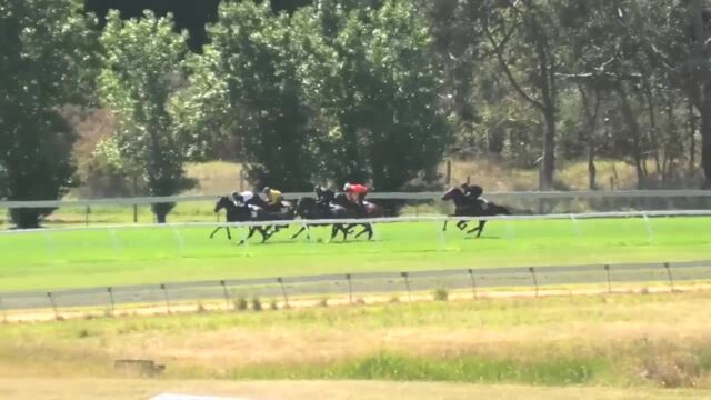 Hamilton Jump Out 15 15012024 | RACING.COM