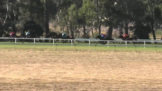 Hamilton Jump Out 7 15012024 | RACING.COM