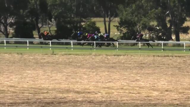 Hamilton Jump Out 8 15012024 | RACING.COM