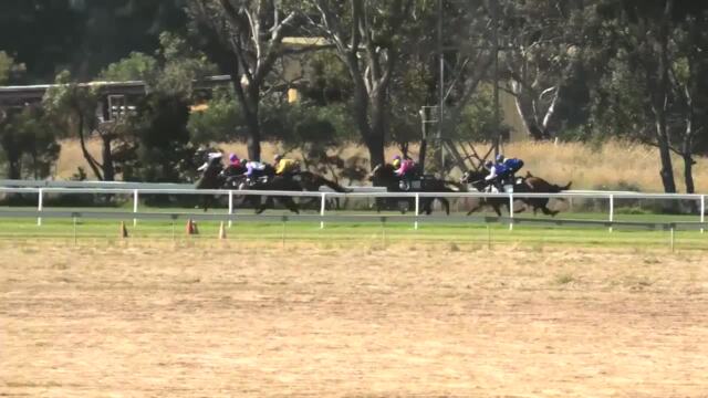 Hamilton Jump Out 9 15012024 | RACING.COM