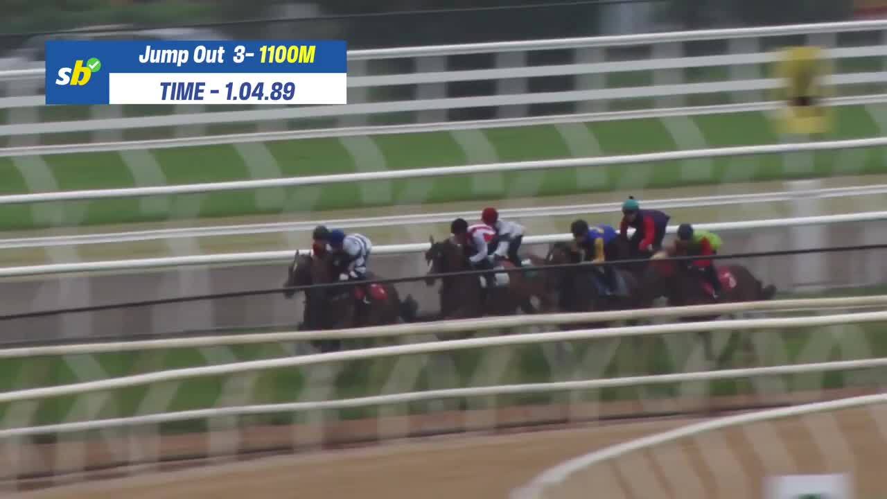 Mornington Jump Out 3 17012024 | RACING.COM