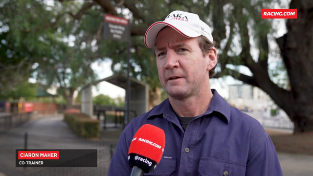 Gold Trips autumn aims | RACING.COM