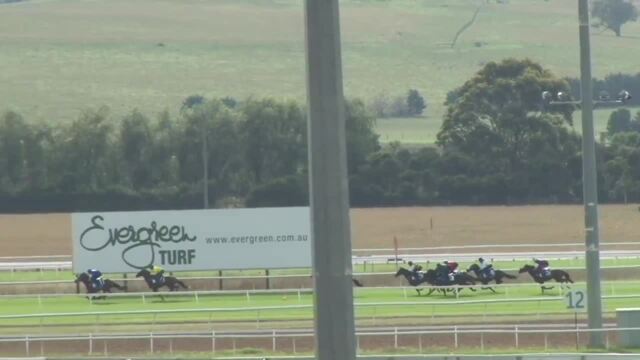 Pakenham Jump Out 8 23012024 | RACING.COM