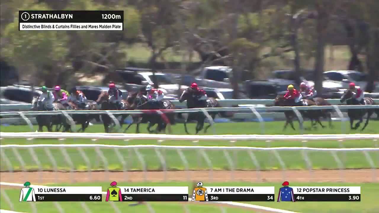 Strathalbyn Race 1 280124 | RACING.COM