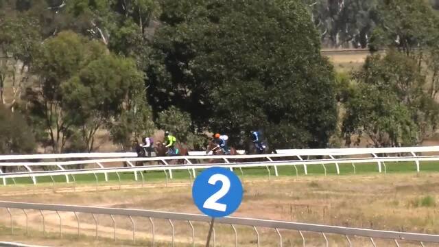 Ararat Jump Out 12 12022024 | RACING.COM