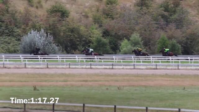 Kyneton Jump Out 16 14022024 | RACING.COM