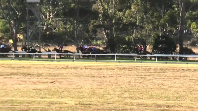 Hamilton Jump Out 2 16022024 | RACING.COM