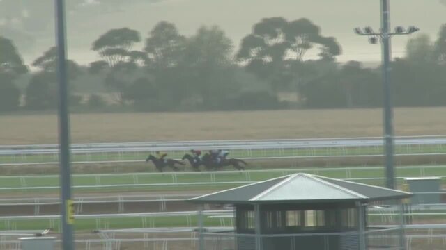 Pakenham Jump Out 1 20022024 | RACING.COM