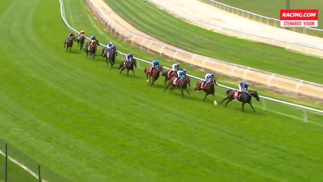 Moe Race 01-Stewards Vision-25-02-24 | RACING.COM