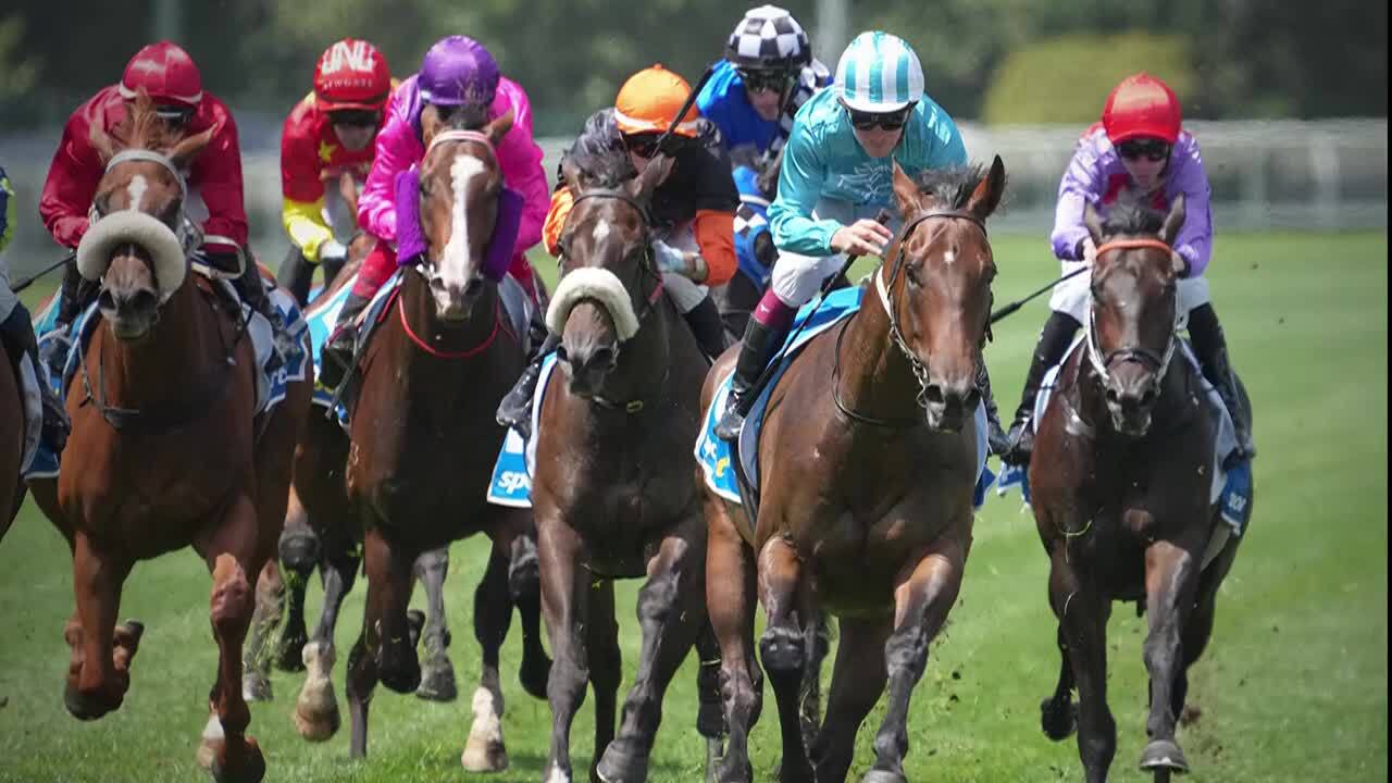 Racing Photos Blue Diamond Stakes Day | RACING.COM