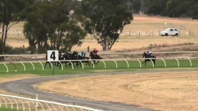 Donald Jump Out 2 13032024 | RACING.COM