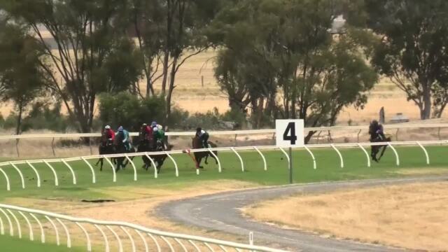 Donald Jump Out 7 13032024 | RACING.COM