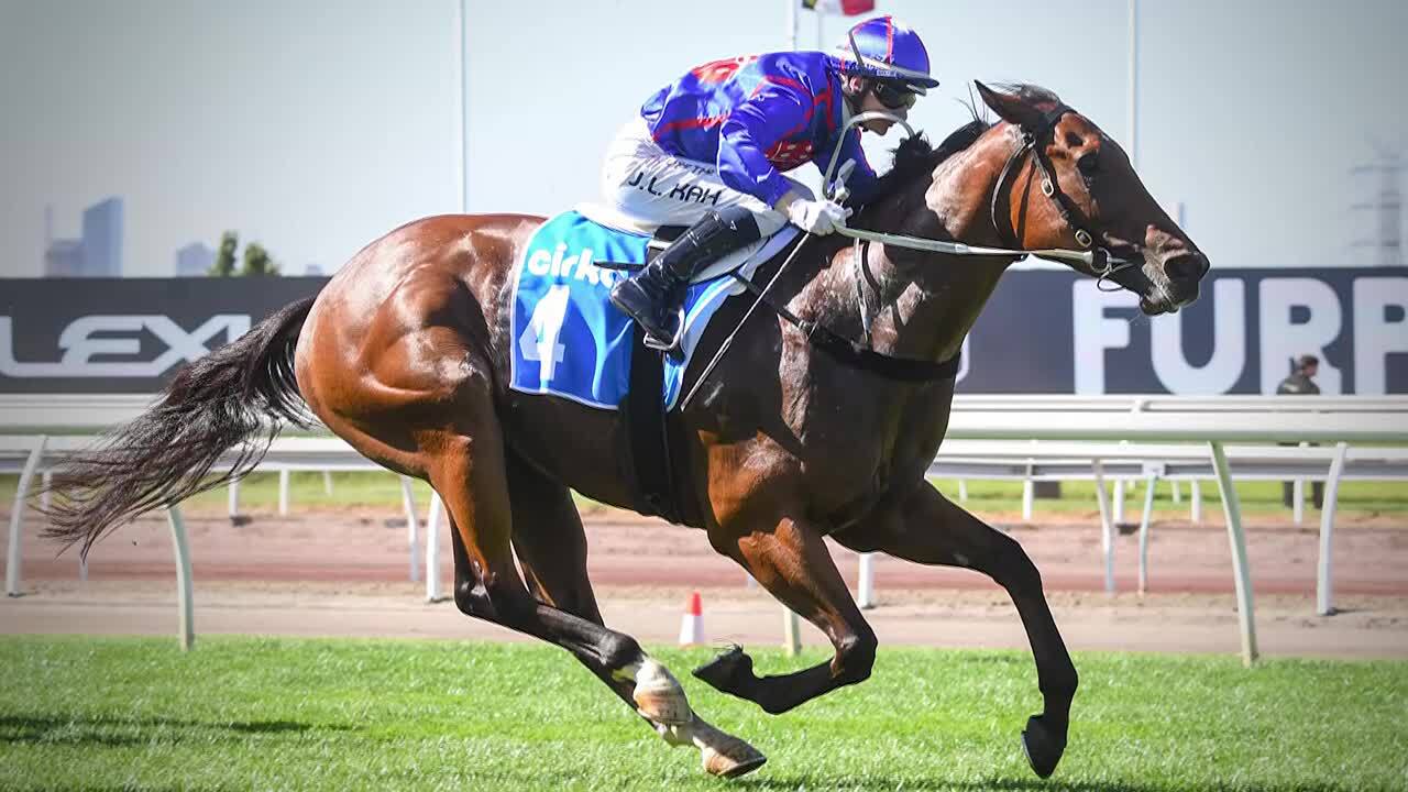 Racing Photos Newmarket Handicap | RACING.COM