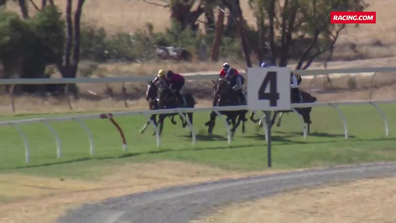 Donald Heat 13 200324 | RACING.COM