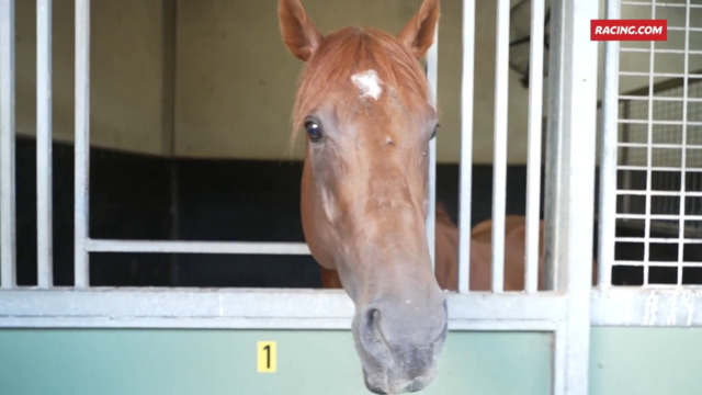 Whats next for Johnny Rocker | RACING.COM