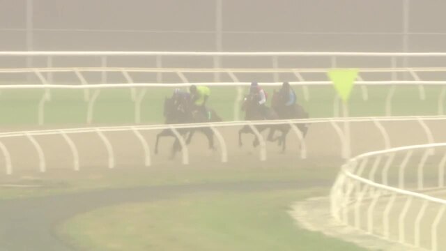 Ballarat Jump Out 6 10042024 | RACING.COM