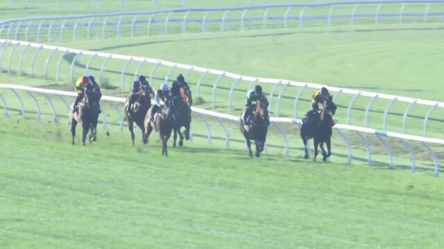 Cranbourne Jump Out 5 15042024 | RACING.COM