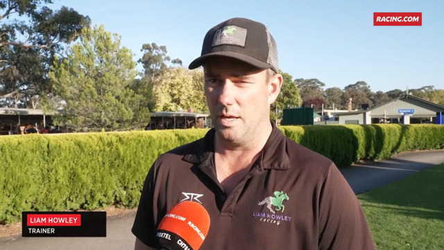 Howley Circles Q22 for talented galloper | RACING.COM