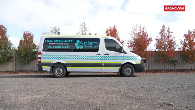 What is a foal ambulance | RACING.COM