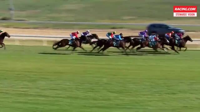 Swan Hill Race 02-Stewards Vision-08-06-24 | RACING.COM