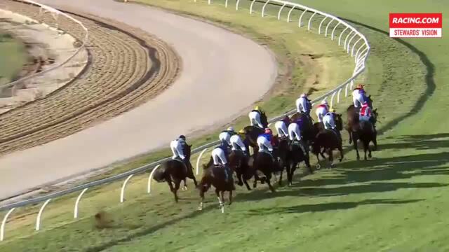 Swan Hill Race 07-Stewards Vision-08-06-24 | RACING.COM