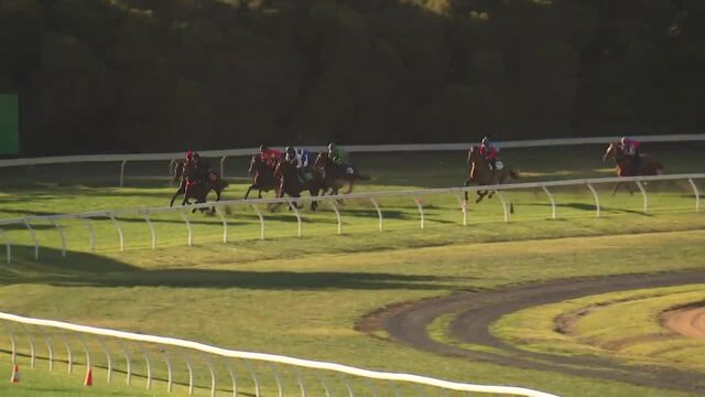 Hamilton Jump Out 10 18062024 | RACING.COM