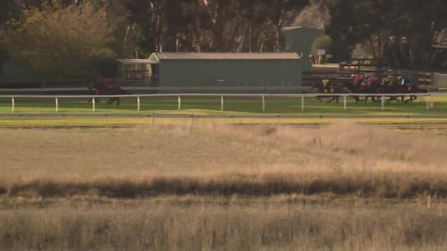 Hamilton Jump Out 8 18062024 | RACING.COM