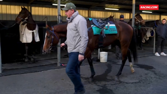 Coleman eyes off G1 sprints | RACING.COM