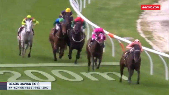 25 of the best from Black Caviar | RACING.COM