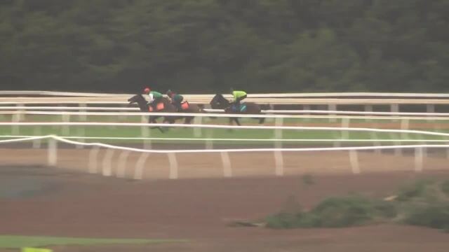 Ballarat Jump Out 8 05092024 | RACING.COM