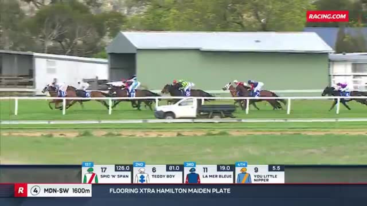 bet365 Hamilton Race 4 160924 | RACING.COM