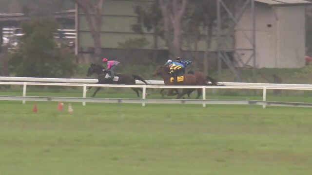 Hamilton Jump Out 1 14102024 | RACING.COM