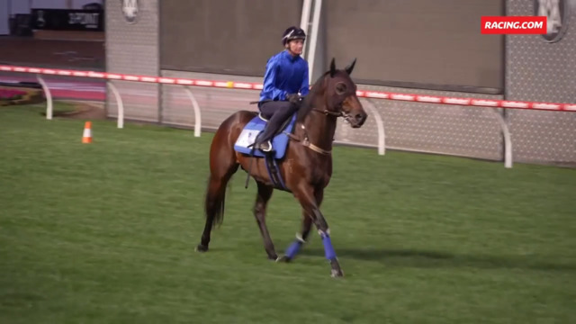 Plenty of energy left in Broadsiding | RACING.COM