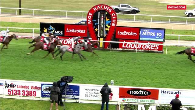 Moe Race 1 T Hughes 181024 | RACING.COM