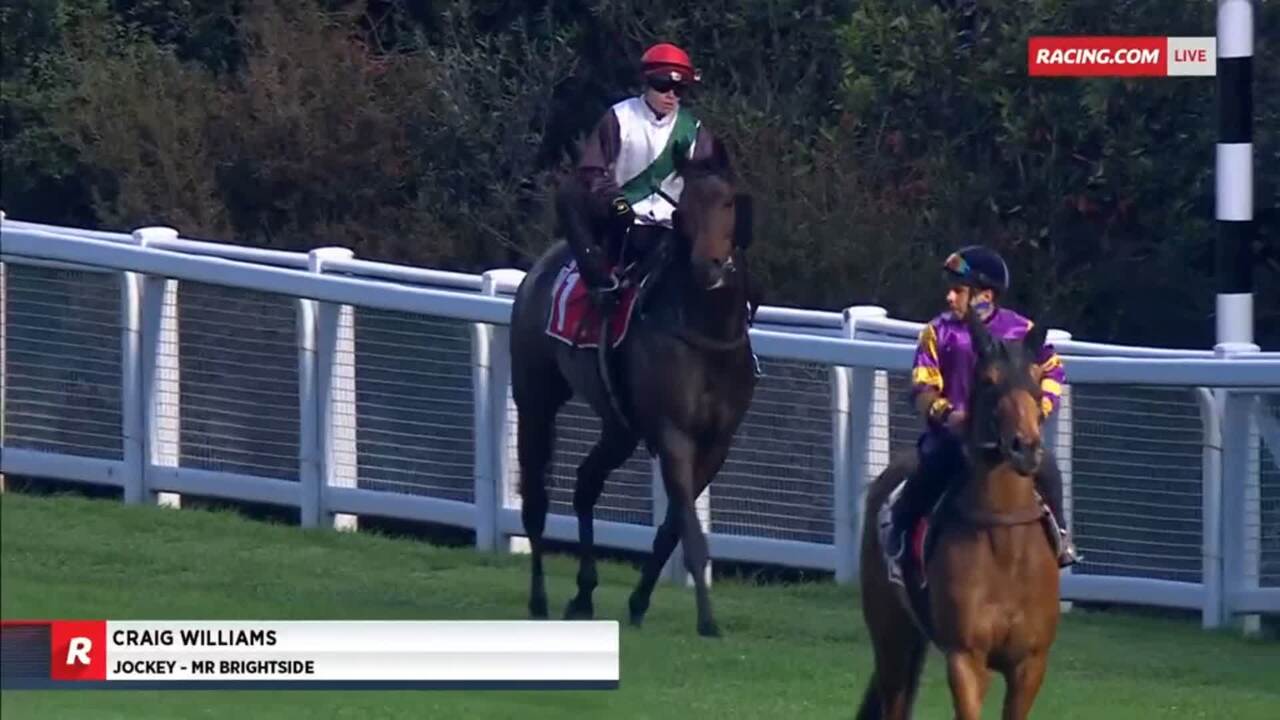 Listen to Willo after galloping Brightside | RACING.COM