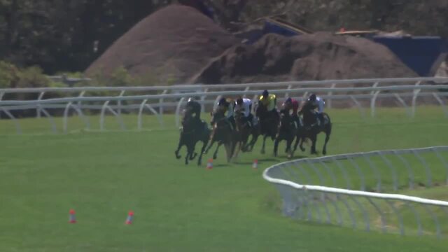 Cranbourne Jump Out 16 11112024 | RACING.COM