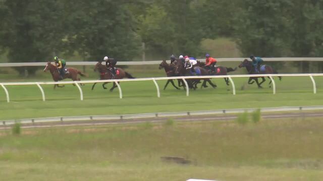 Hamilton Jump Out 8 12112024 | RACING.COM