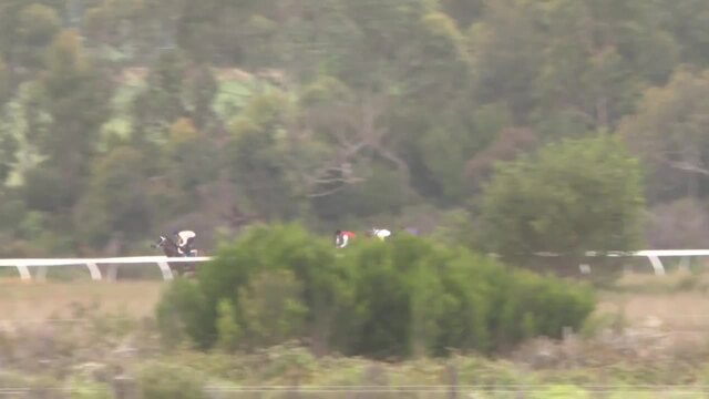 Balnarring Jump Out 1 13112024 | RACING.COM