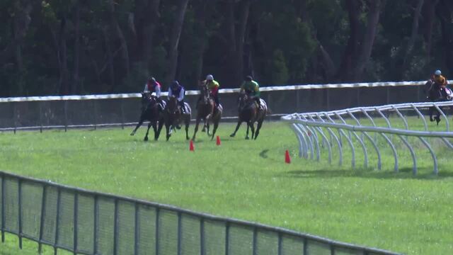 Balnarring Jump Out 7 10122024 | RACING.COM