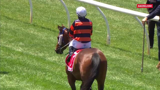 Geelong Race 2 H N Maclean 131224 | RACING.COM