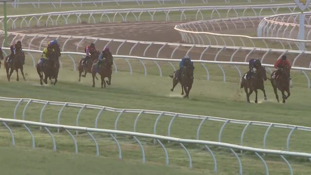 Cranbourne Jump Out 1 30122024 | RACING.COM