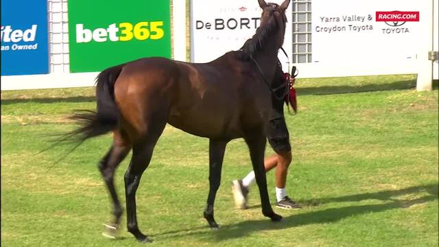 Yarra Valley Race 8 Leon Troy Corstens Will Larkin 210125 | RACING.COM