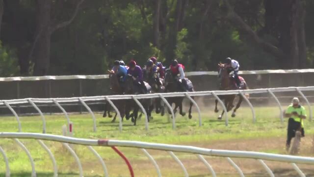 Balnarring Jump Out 10 29012025 | RACING.COM