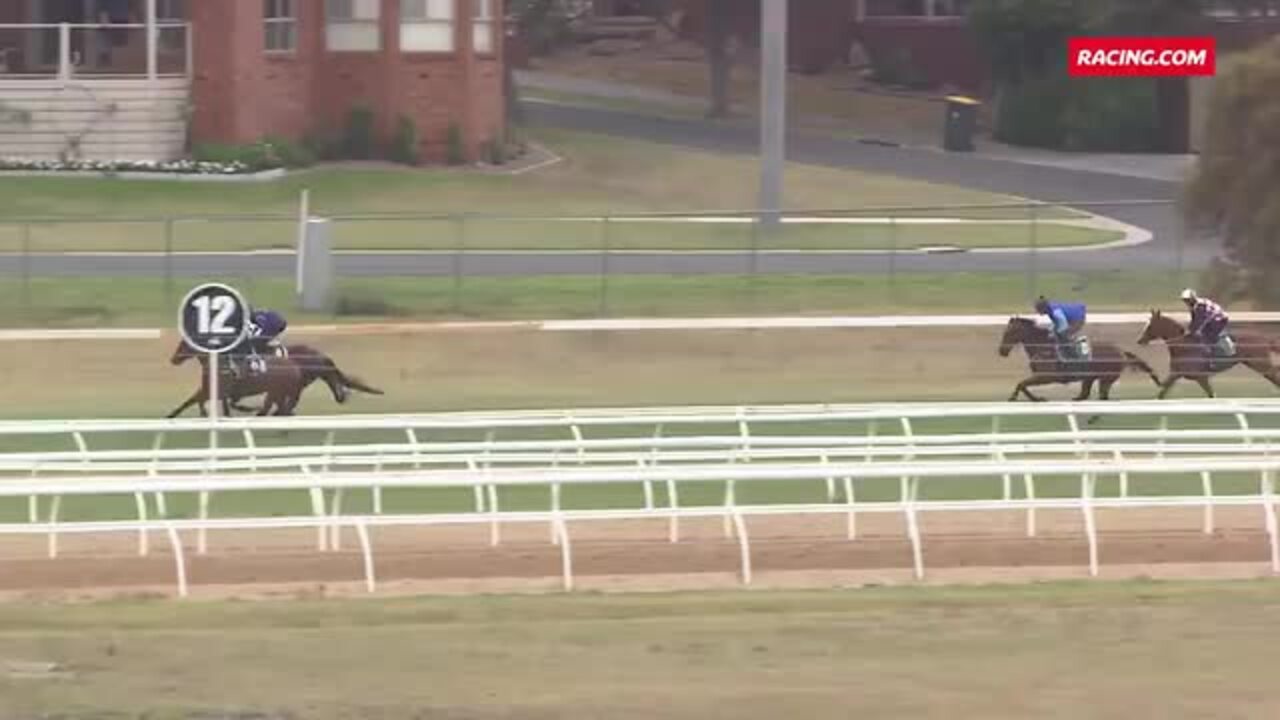 Warrnambool Heat 4 270225 | RACING.COM