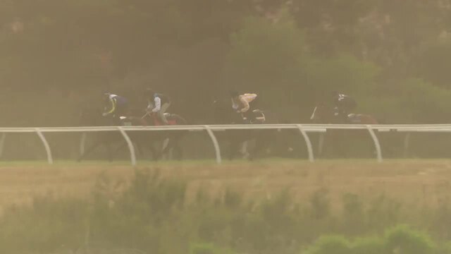 Balnarring Jump Out 3 12032025 | RACING.COM